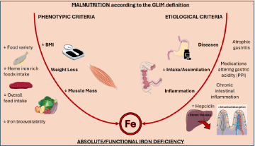 Iron deficiency in the elderly. Evidences from different clinical ...